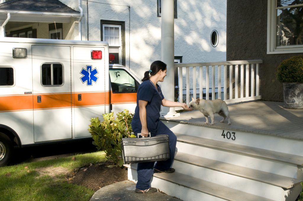 ABOUT HOUSEPAWS - HousePaws Mobile Veterinary Service