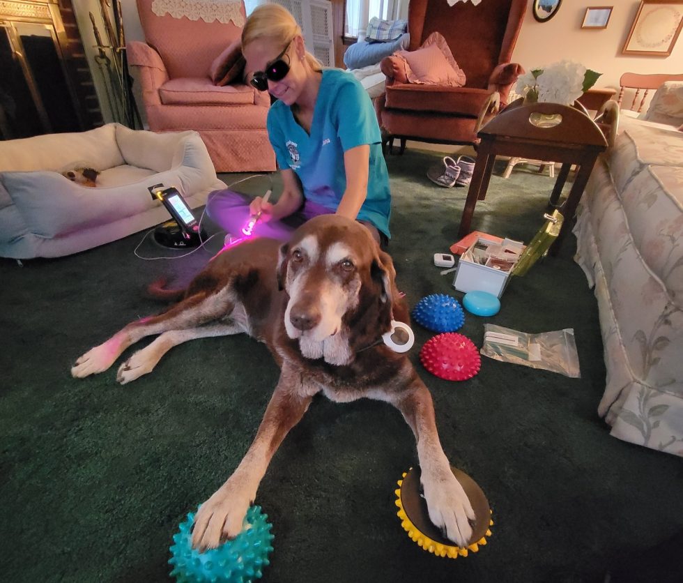 Dr. Dana Offers Mobile Rehabilitation Appointments - HousePaws Mobile Veterinary Service
